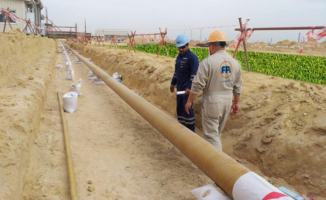 Professional Field Assistance Services and Supervision